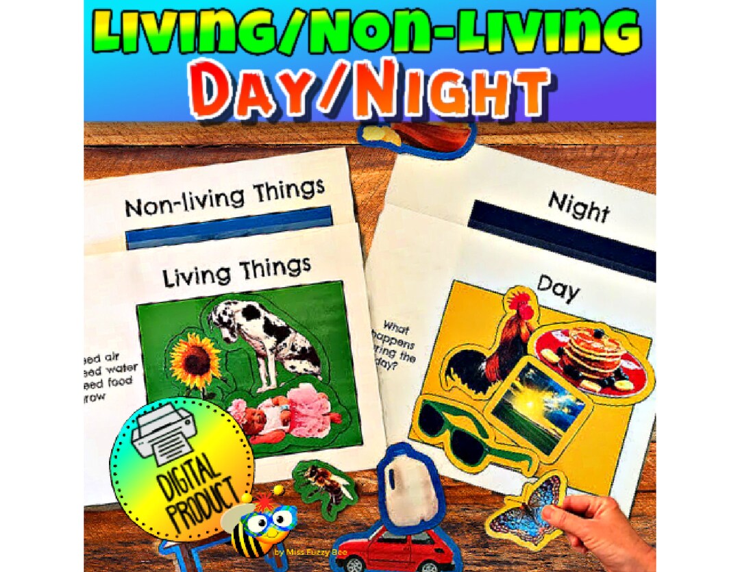 Living and Non-living Activity | Night and Day Activity | Living ...