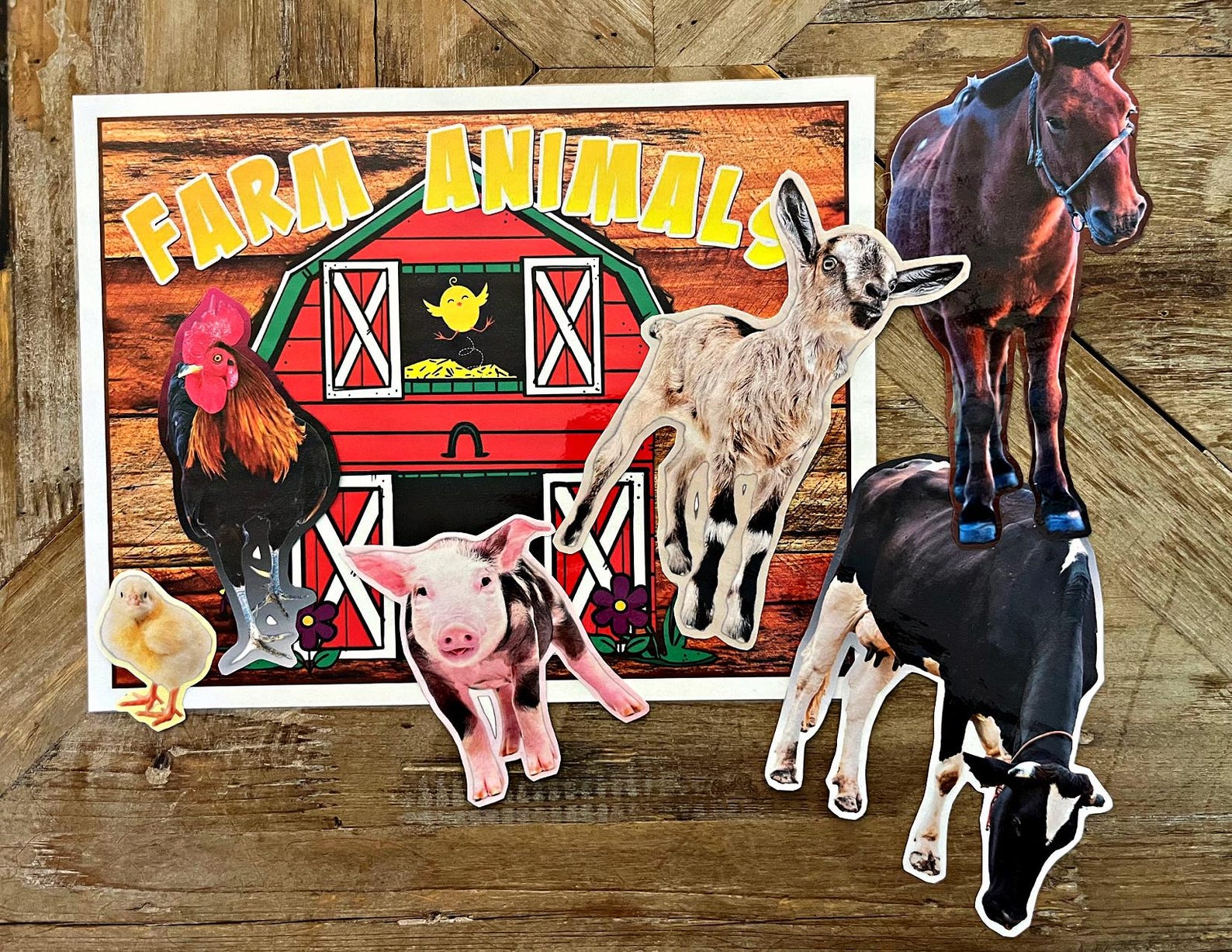 Animal Sorting | Animal Theme | Farm Animals | House Pets | Center ...