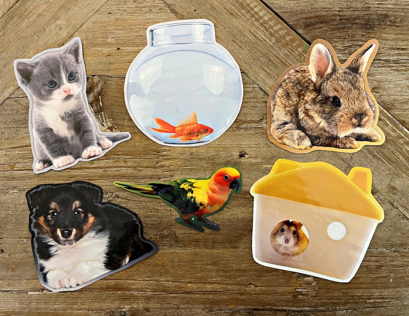 Animal Sorting | Animal Theme | Farm Animals | House Pets | Center ...