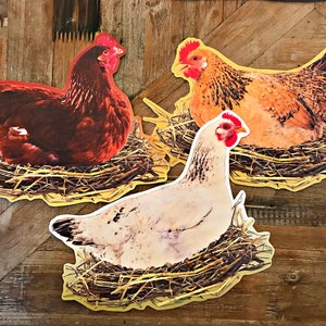 Dramatic Play Farm Chicken Life Cycle Life Cycle Chicken Farm Activity ...