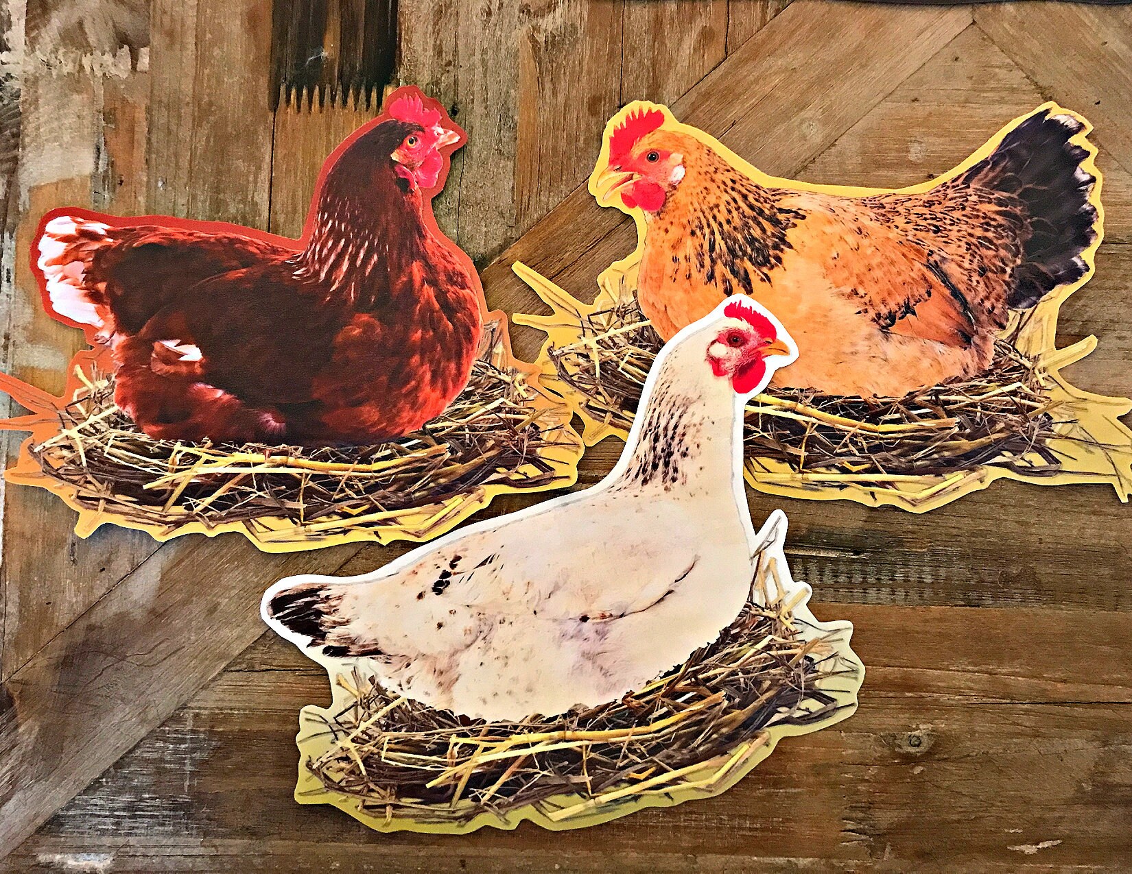 Dramatic Play Farm Chicken Life Cycle Life Cycle Chicken Farm Activity ...