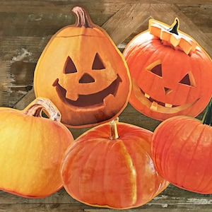 Pumpkin Patch Dramatic Play | Pumpkin Dramatic Play | Fall Decorations ...