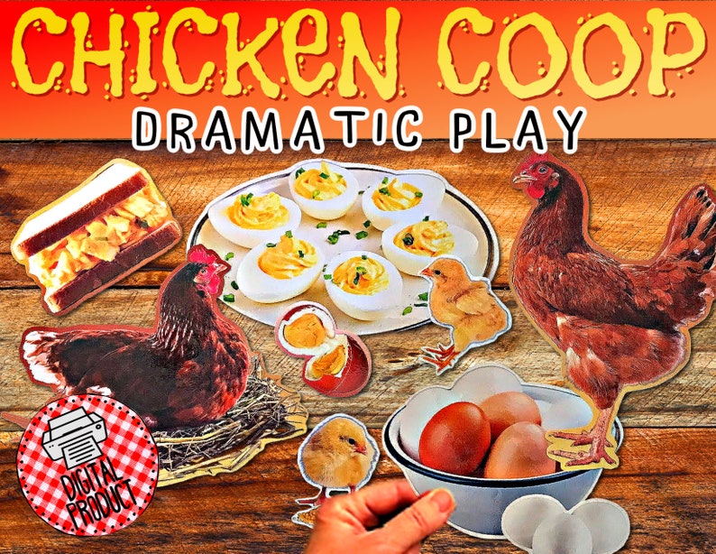 Dramatic Play Farm Chicken Life Cycle Life Cycle Chicken - Etsy