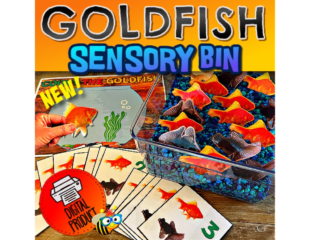 Counting Goldfish Sensory Bin Activity | Goldfish Counting | Sensory ...