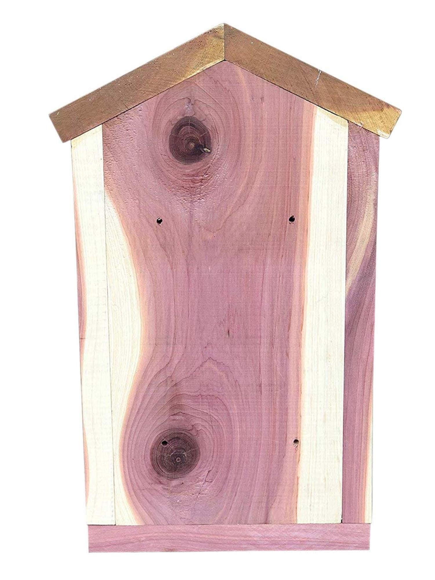 Vundahboah Amish Goods AMISH HANDMADE Cedar Owl Box - Etsy