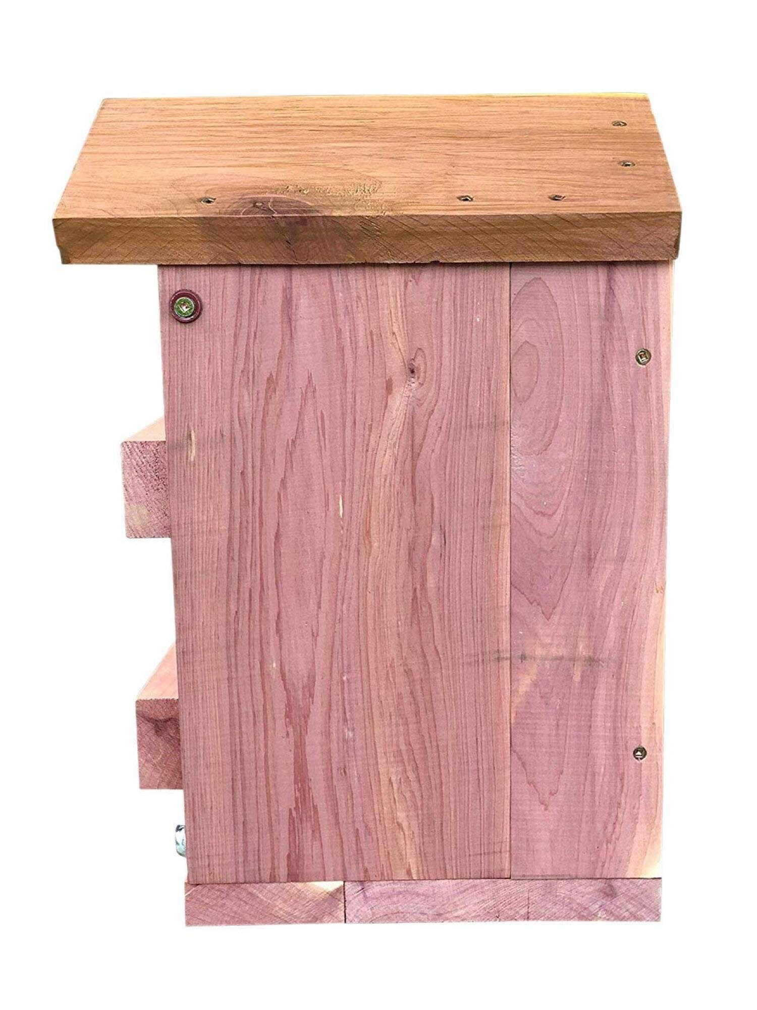 Vundahboah Amish Goods AMISH HANDMADE Cedar Owl Box - Etsy