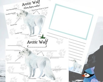 Arctic Animals Anatomy Learning Pack, Biology Worksheets, Polar Bear ...