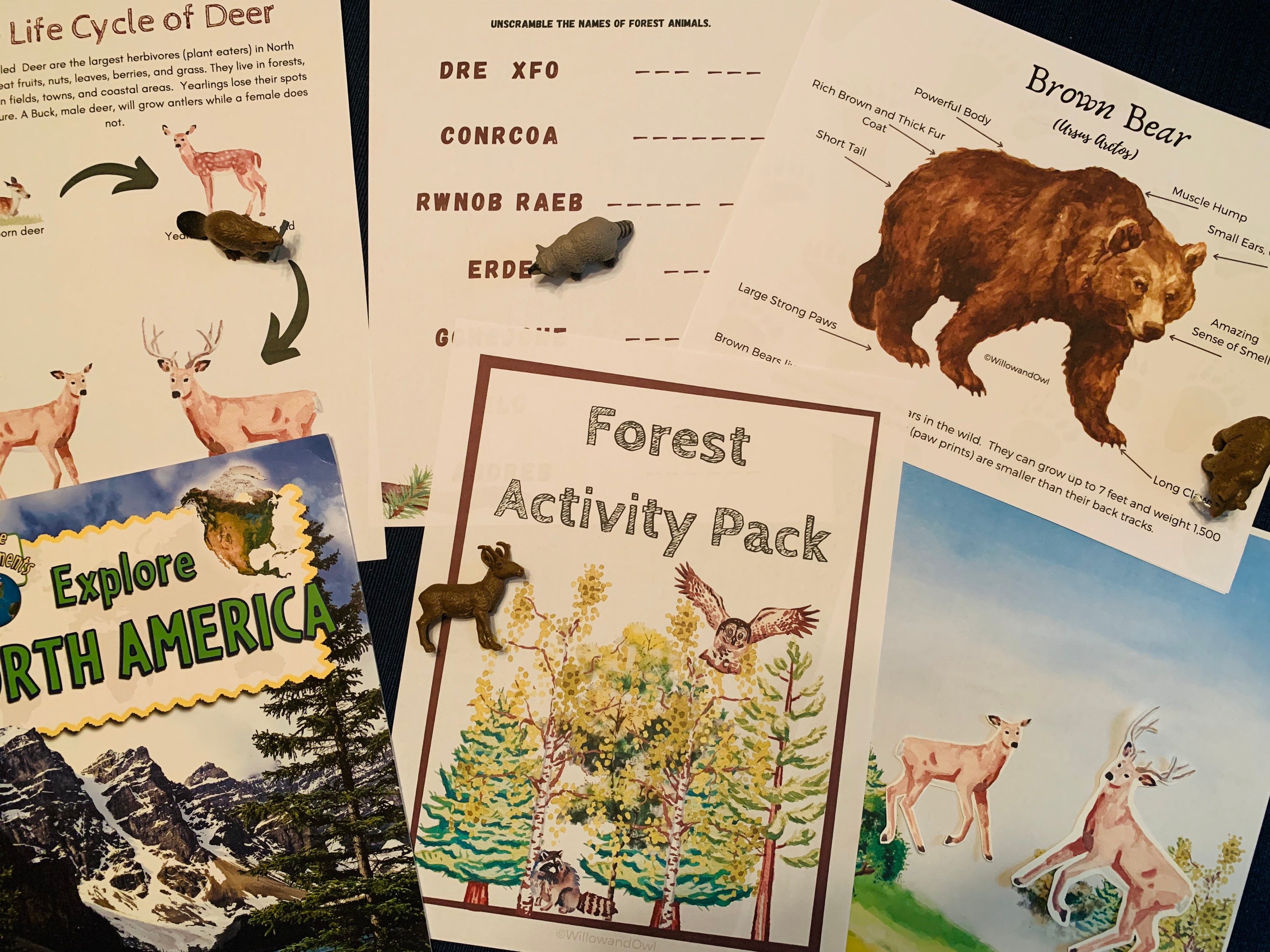 Forest Activity Pack for Morning Basket or Unit Studies - Etsy