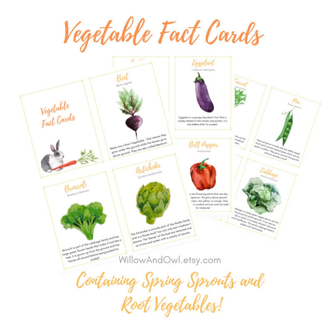 Vegetable Fact Cards & Anatomy - Etsy