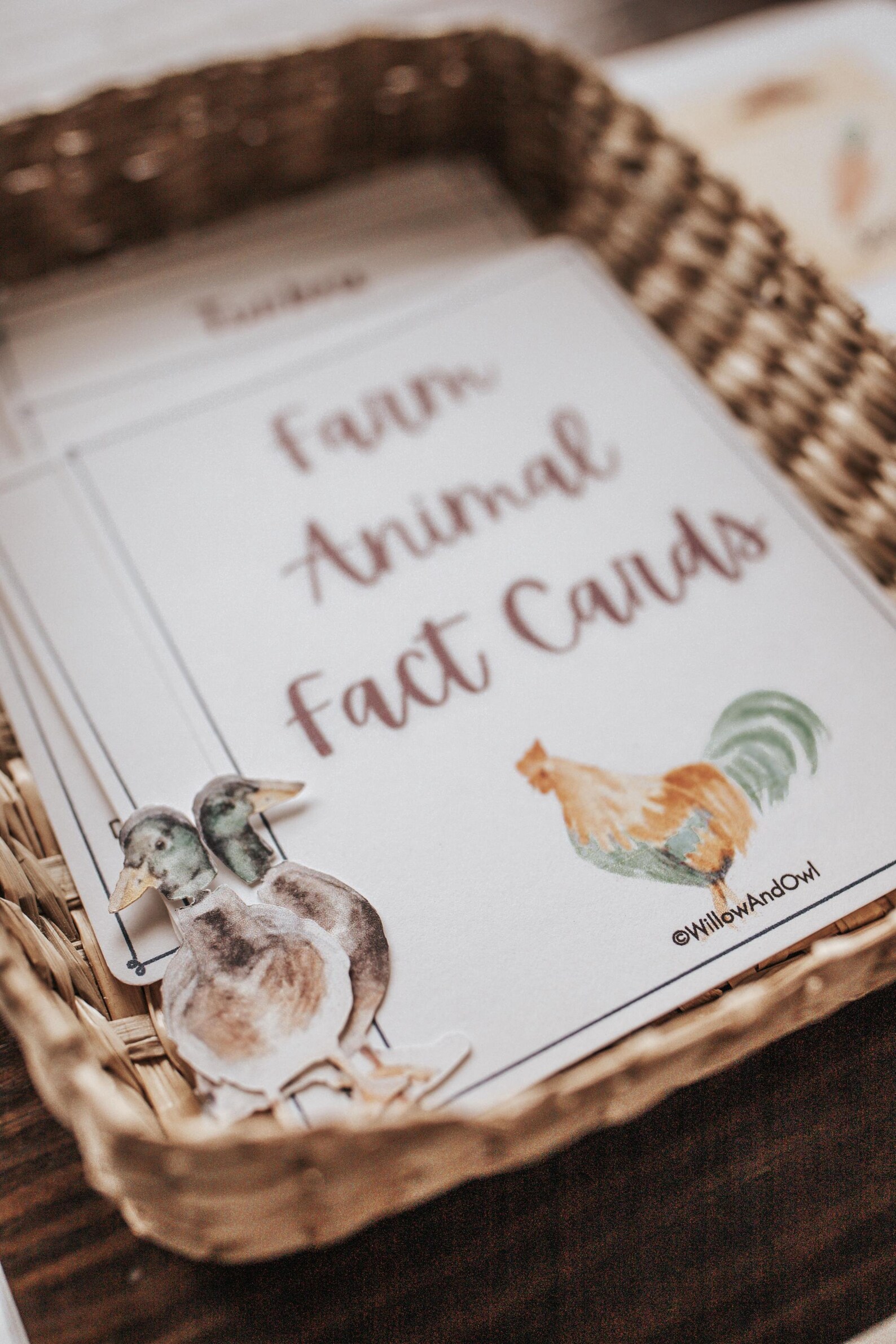 Little Farm Unit Study - Etsy