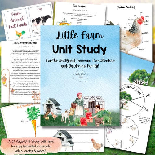 Farm Kindergarten Homeschool Lesson Farm to Table Unit Study - Etsy