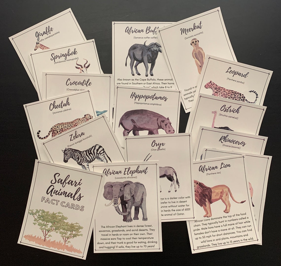 Safari Animals Story Cards - Etsy