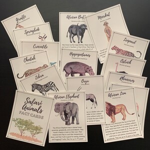 Safari Animals Story Cards - Etsy