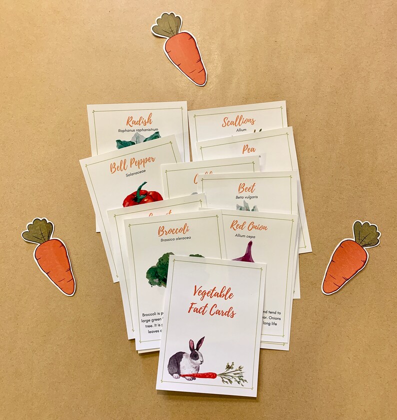 Vegetable Fact Cards & Anatomy - Etsy