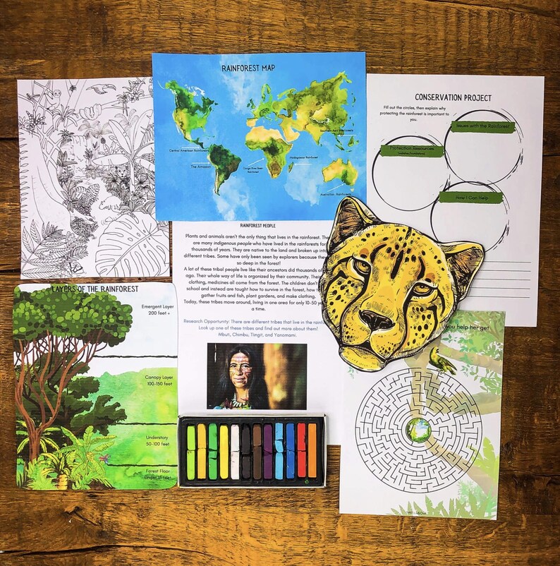 Rainforest Explorer Collection and Mini Unit Study - Etsy