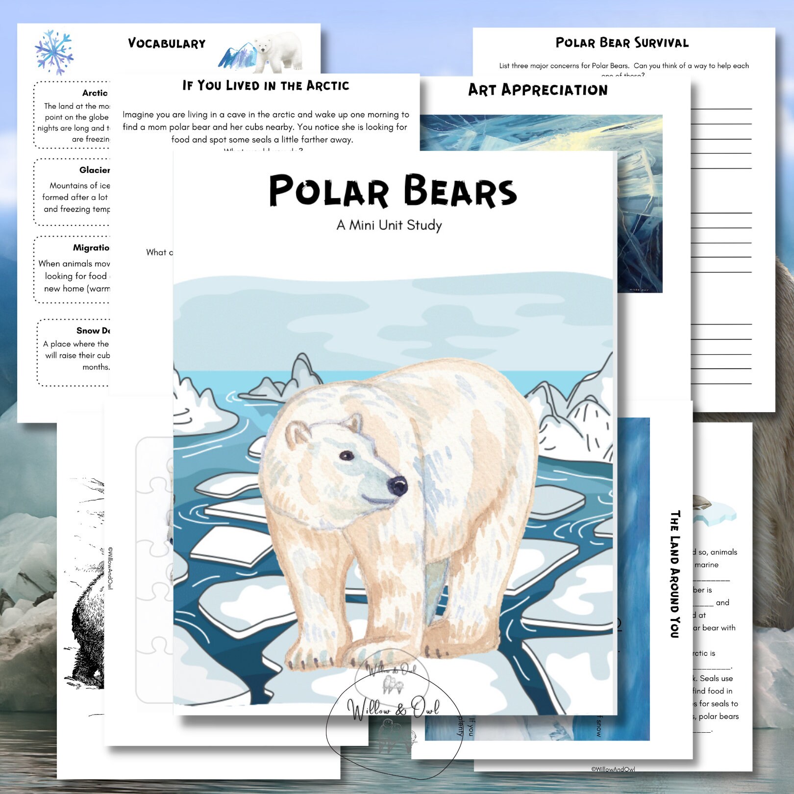 Polar Bears- A Mini Unit Study - Etsy