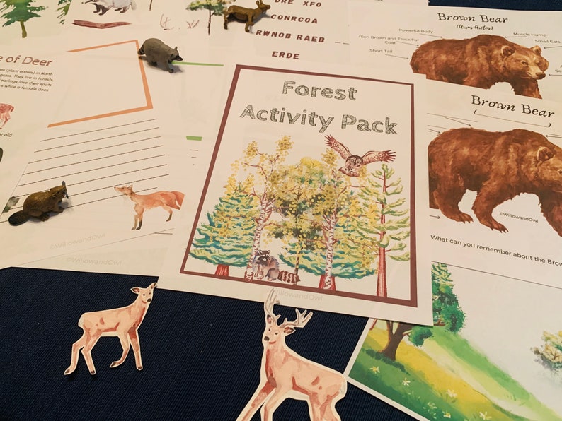 Forest Activity Pack for Morning Basket or Unit Studies - Etsy