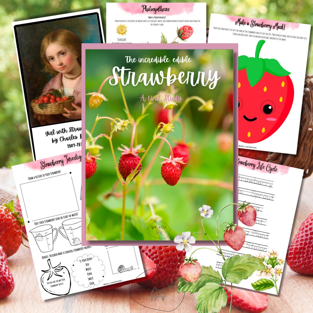 Strawberry Unit Study - Etsy