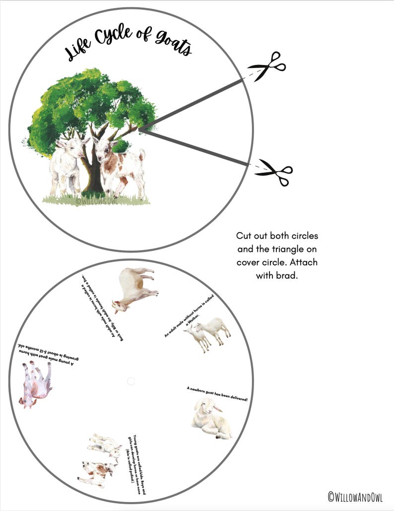 Goat Anatomy Pack | Homeschool Anatomy Printable - Etsy