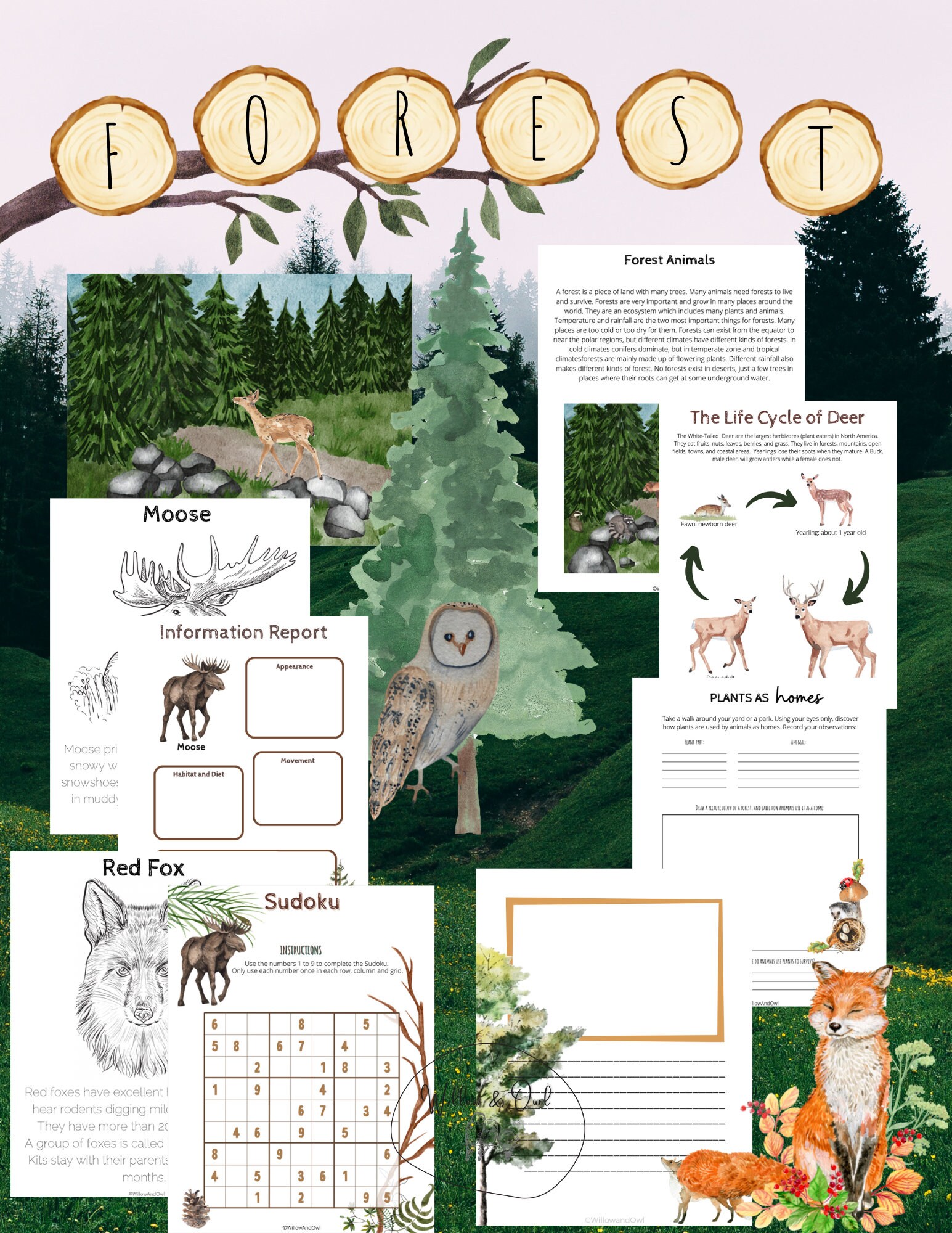 Forest Activity Pack for Morning Basket or Unit Studies - Etsy