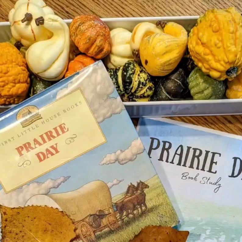 Prairie Day Book Companion Activity Pack Book Study - Etsy