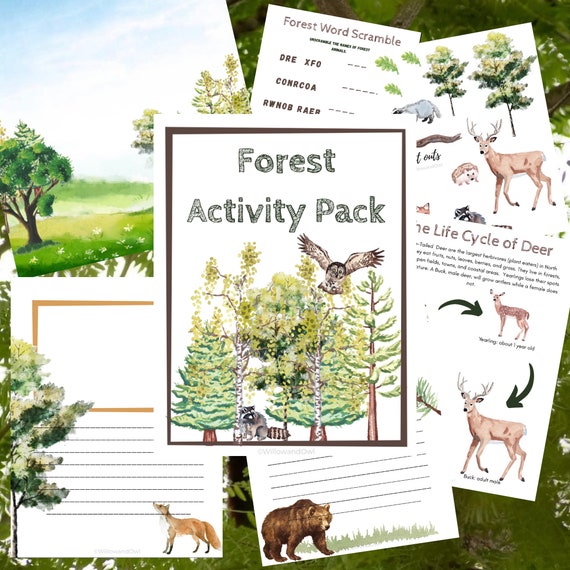 Forest Activity Pack for Morning Basket or Unit Studies - Etsy