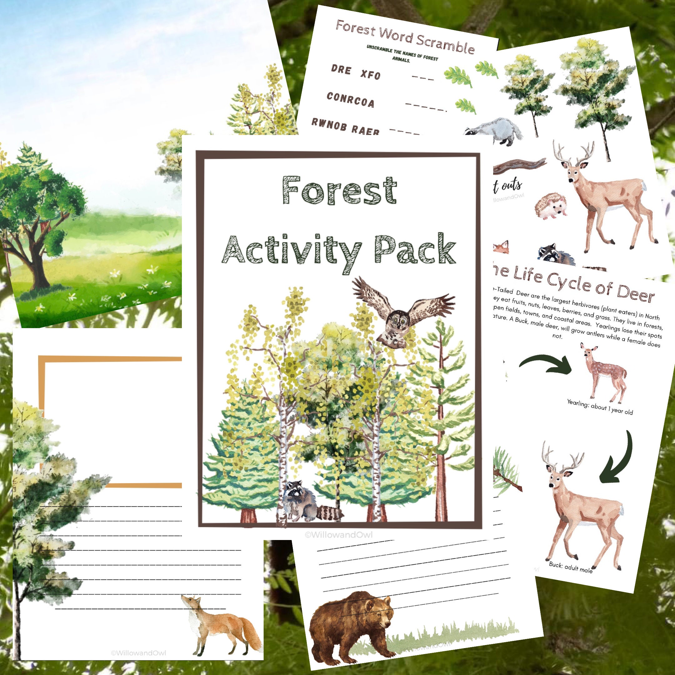 Forest Activity Pack for Morning Basket or Unit Studies - Etsy