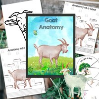 PRINTABLE Meat Goat External Anatomy - Level 1 - Etsy UK