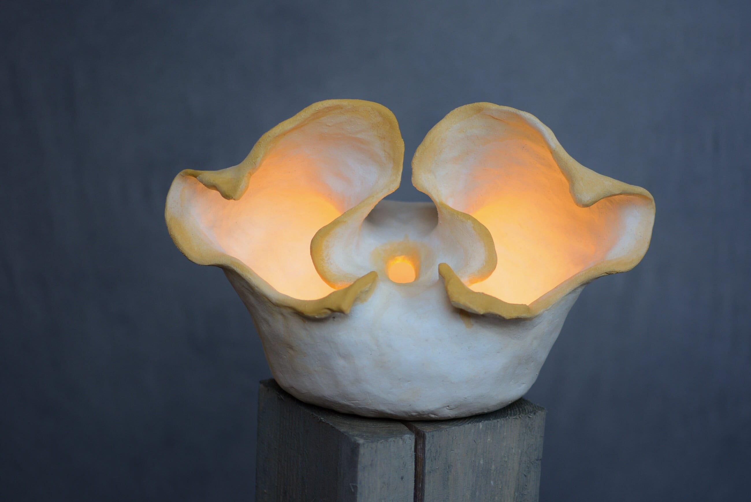 Lily Organic Form, Nature Inspired One of a Kind Ceramic Table Lamp ...