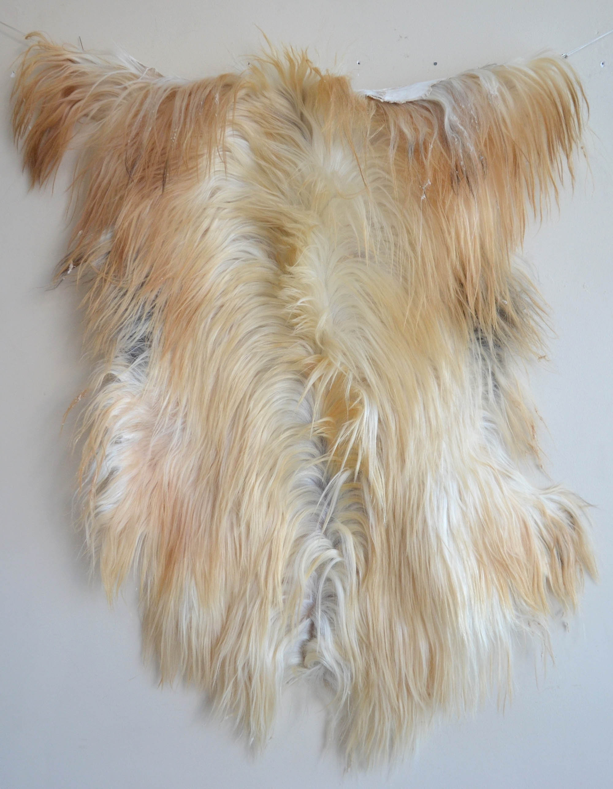 31 x 43 Goat Skin Fur Pelt Making Wooly Cowboy | Etsy