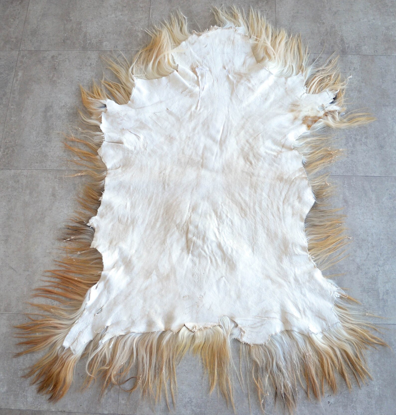 31 X 43 Goat Skin Fur Pelt Making Wooly Cowboy - Etsy