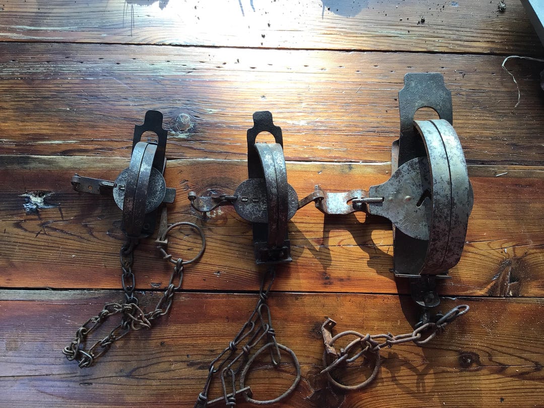 Lot of Three (3) Vintage Single Spring Jump Traps - Etsy