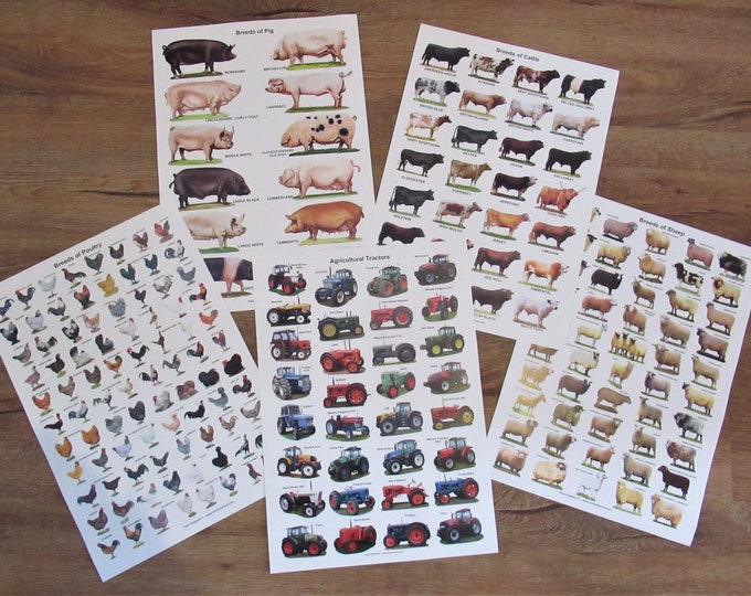A3 Posters Cattle, Sheep, Pigs, Poultry, Tractors, - Etsy UK A3 Posters Cattle, Sheep, Pigs, Poultry, Tractors, - Etsy UK