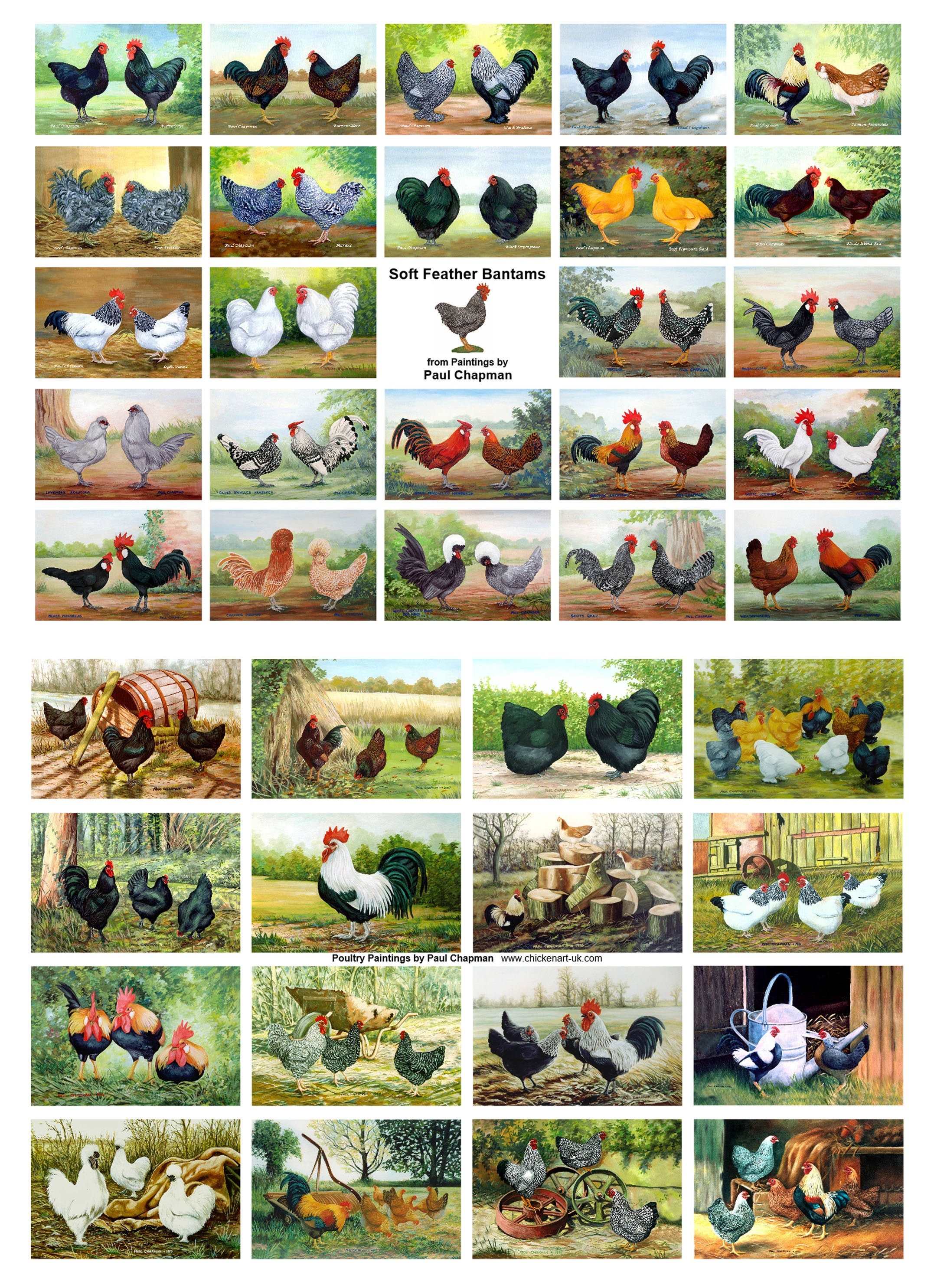 A3 Posters of Poultry Paintings by Paul Chapman - Etsy