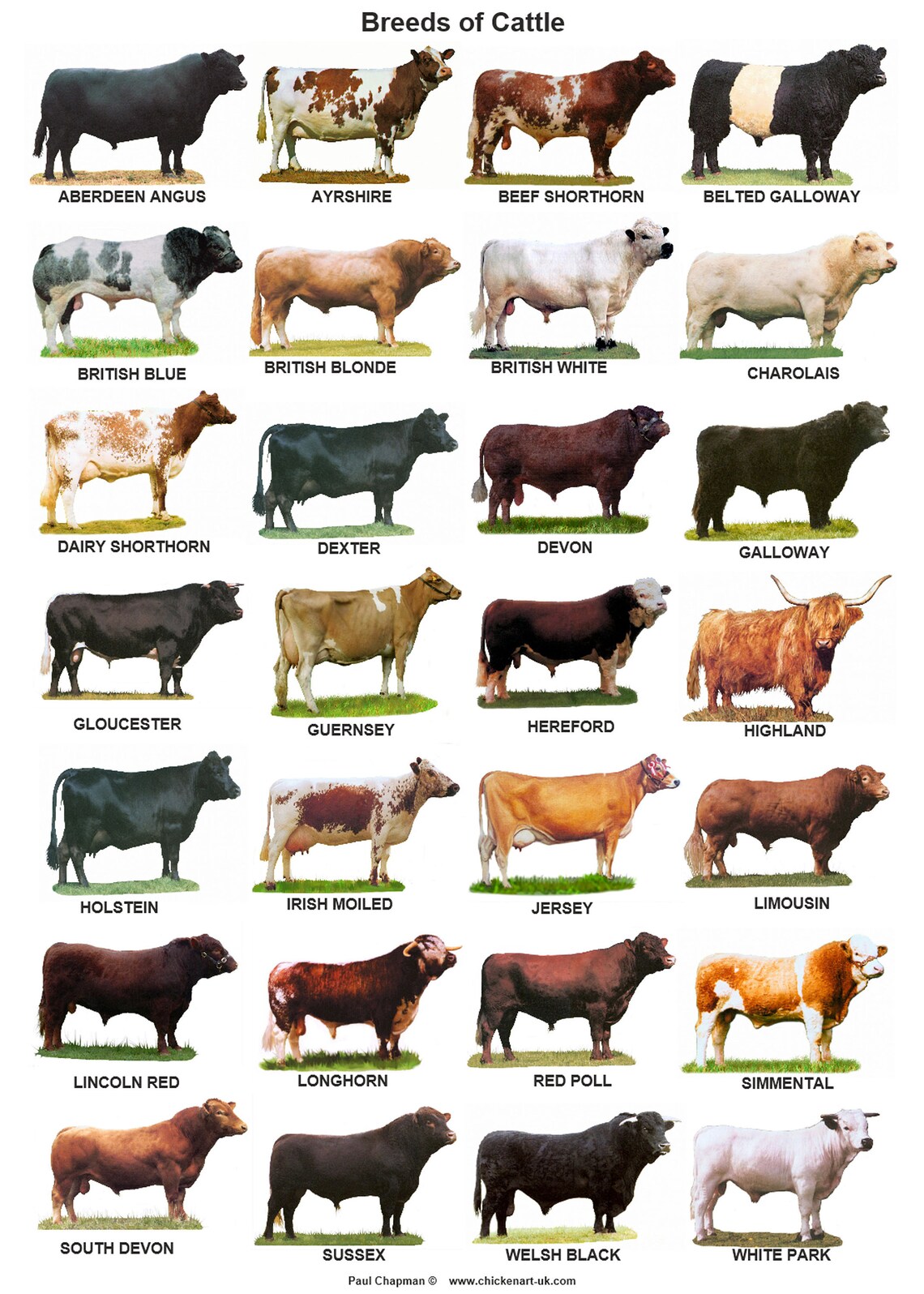 A3 Posters Cattle Sheep Pigs Poultry Tractors - Etsy Canada
