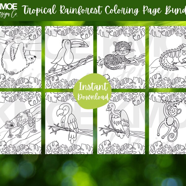 Tropical Rainforest - Etsy