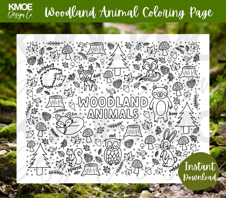 Woodland Animal Coloring Page Printable Coloring Book Coloring Pages ...