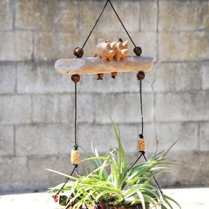 Rabbit Hanging Planter,with Two Little Pigs ,coconut Pot ,indoor or ...