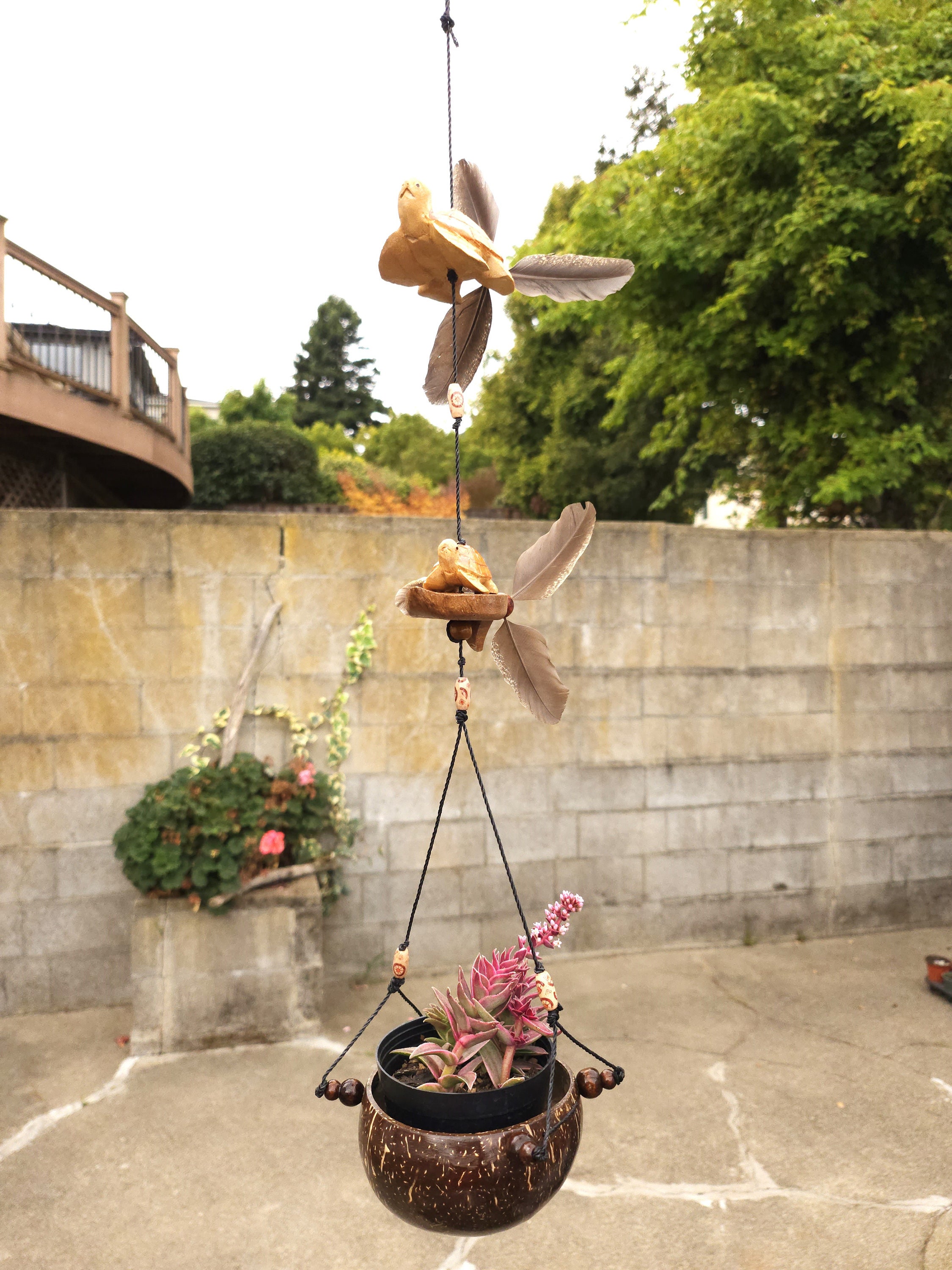 Turtle Surfing Board Coconut Shell Planter: Weatherproof Outdoor Decor ...