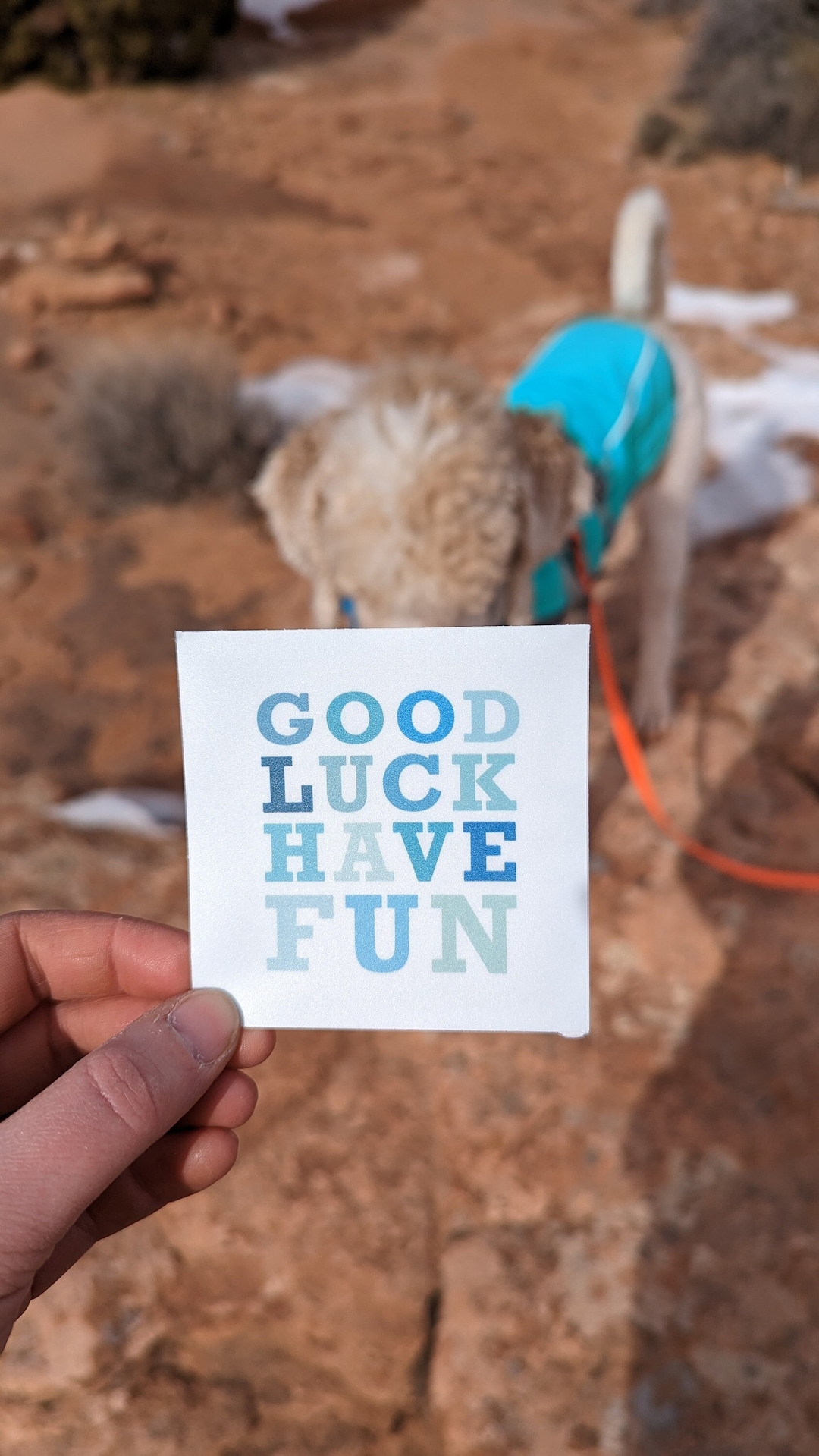 Good Luck Have Fun, Block Serif, Blue Color Palette 3-inch Square ...