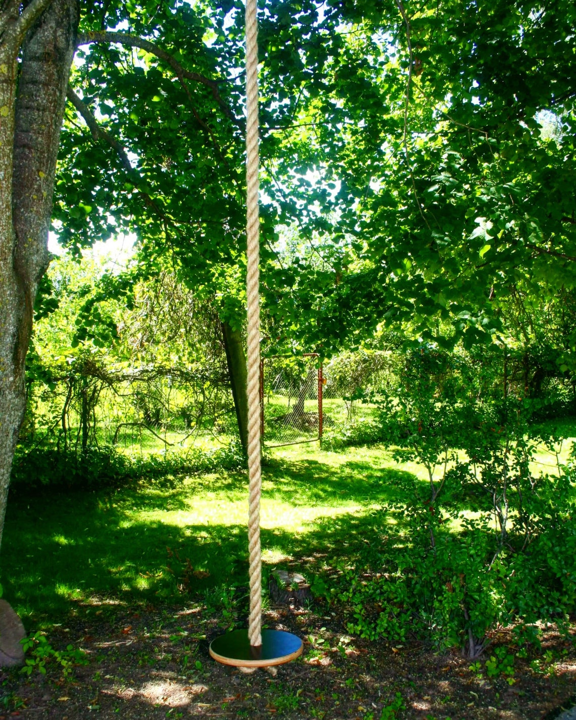 Disk Rope Swing Large Disk Tree Swing 6.6-66 Feet 2-10 M - Etsy