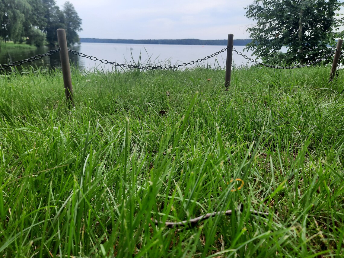 Chain Fence for Gardens, Parks and Backyards, Practical and Decorative ...