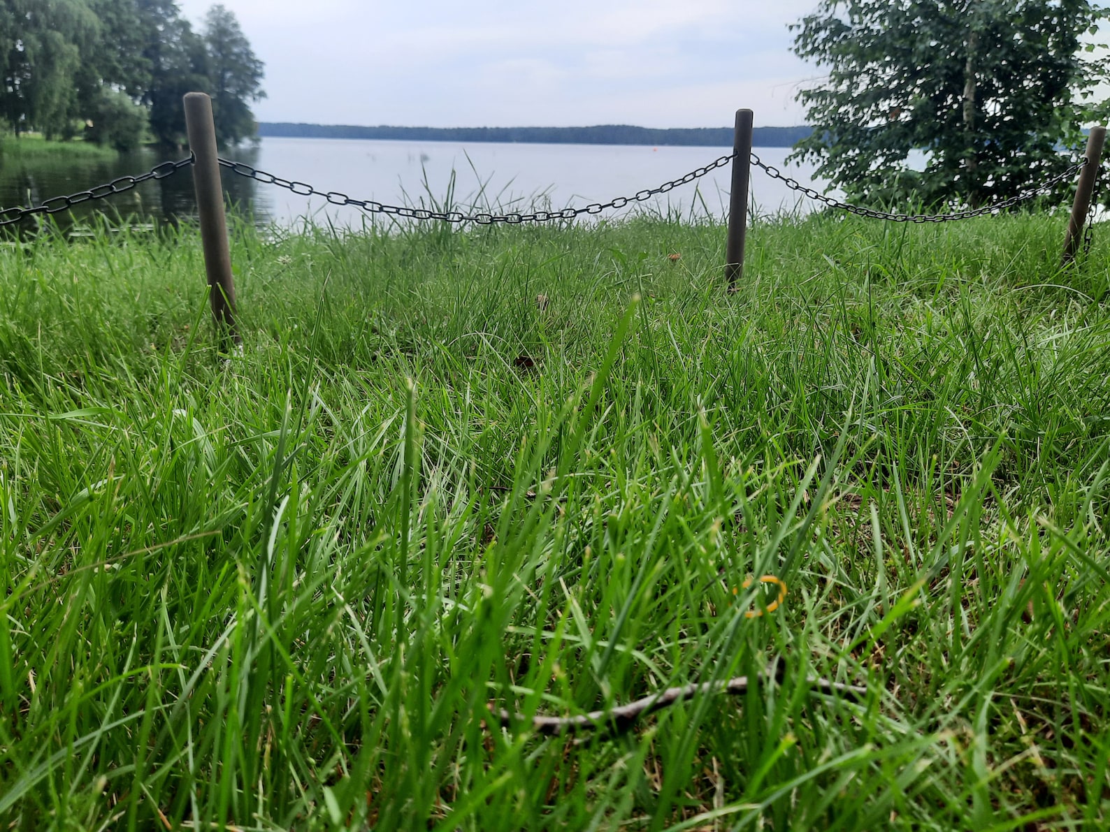 Chain Fence for Gardens, Parks and Backyards, Practical and Decorative ...