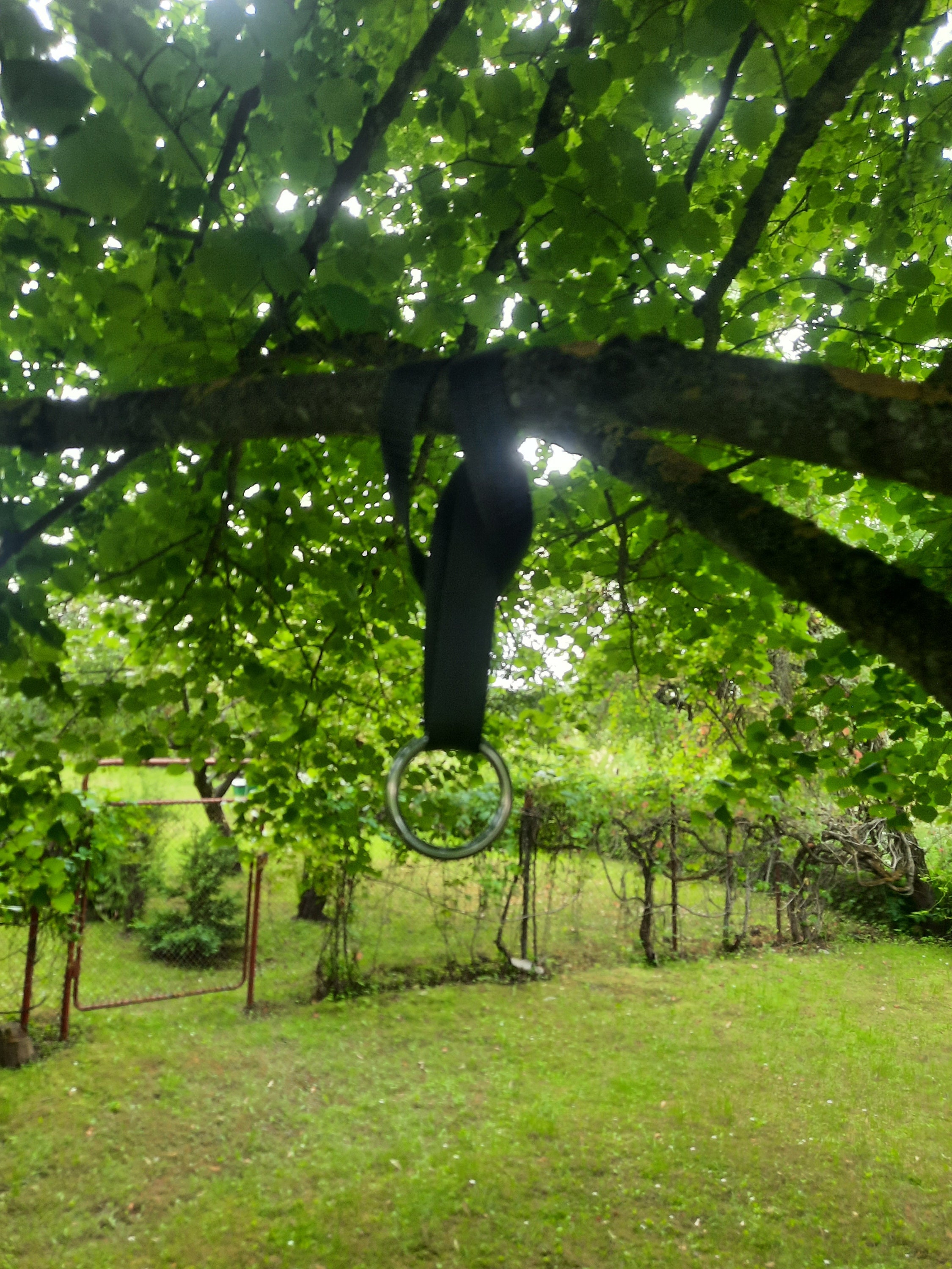 Tree Swing Attachment Mount Strap for Hanging Stuff - Etsy