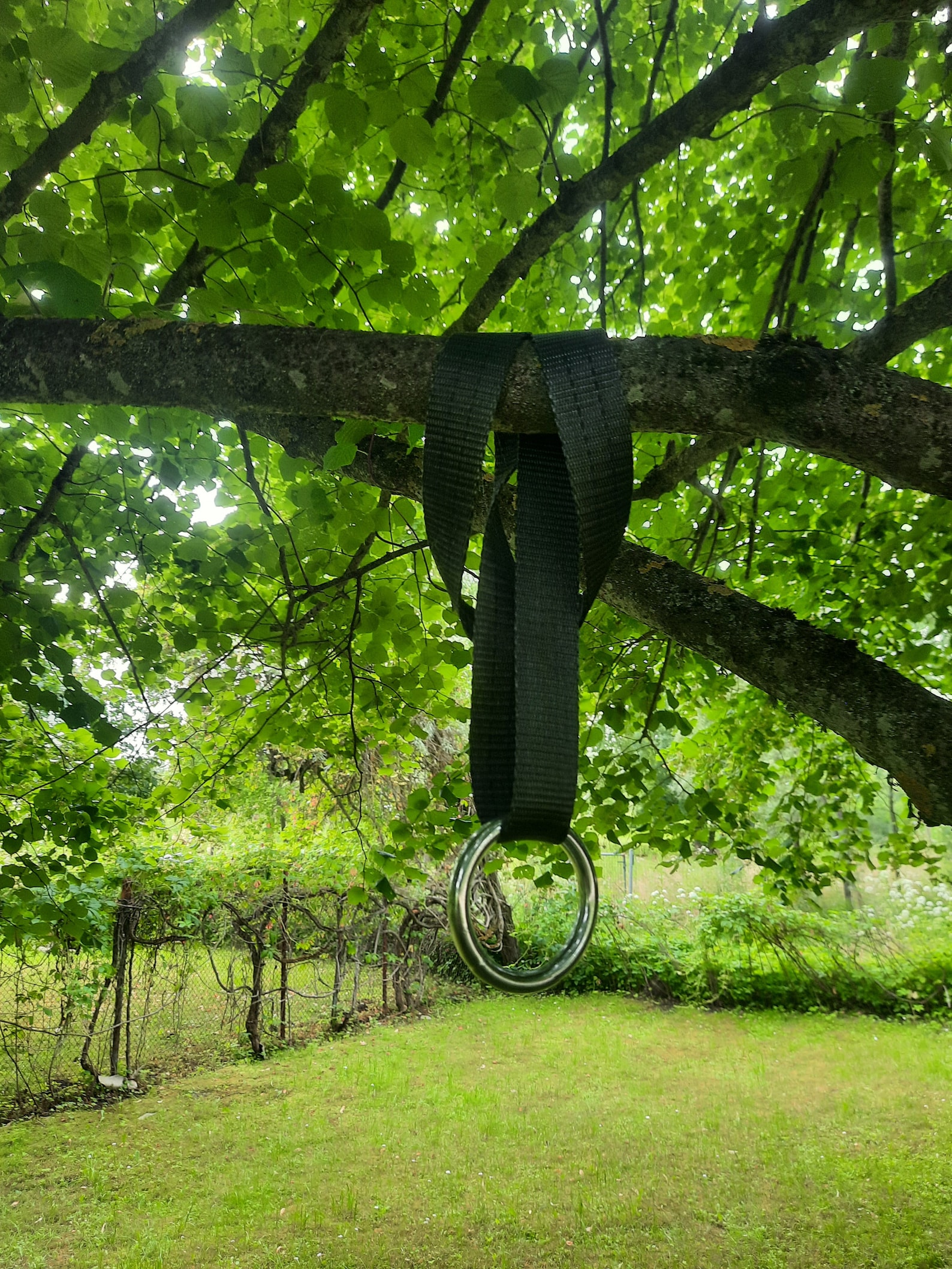 Tree Swing Attachment Mount Strap for Hanging Stuff - Etsy