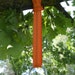 Tree Swing Attachment Mount Strap for Hanging Stuff - Etsy