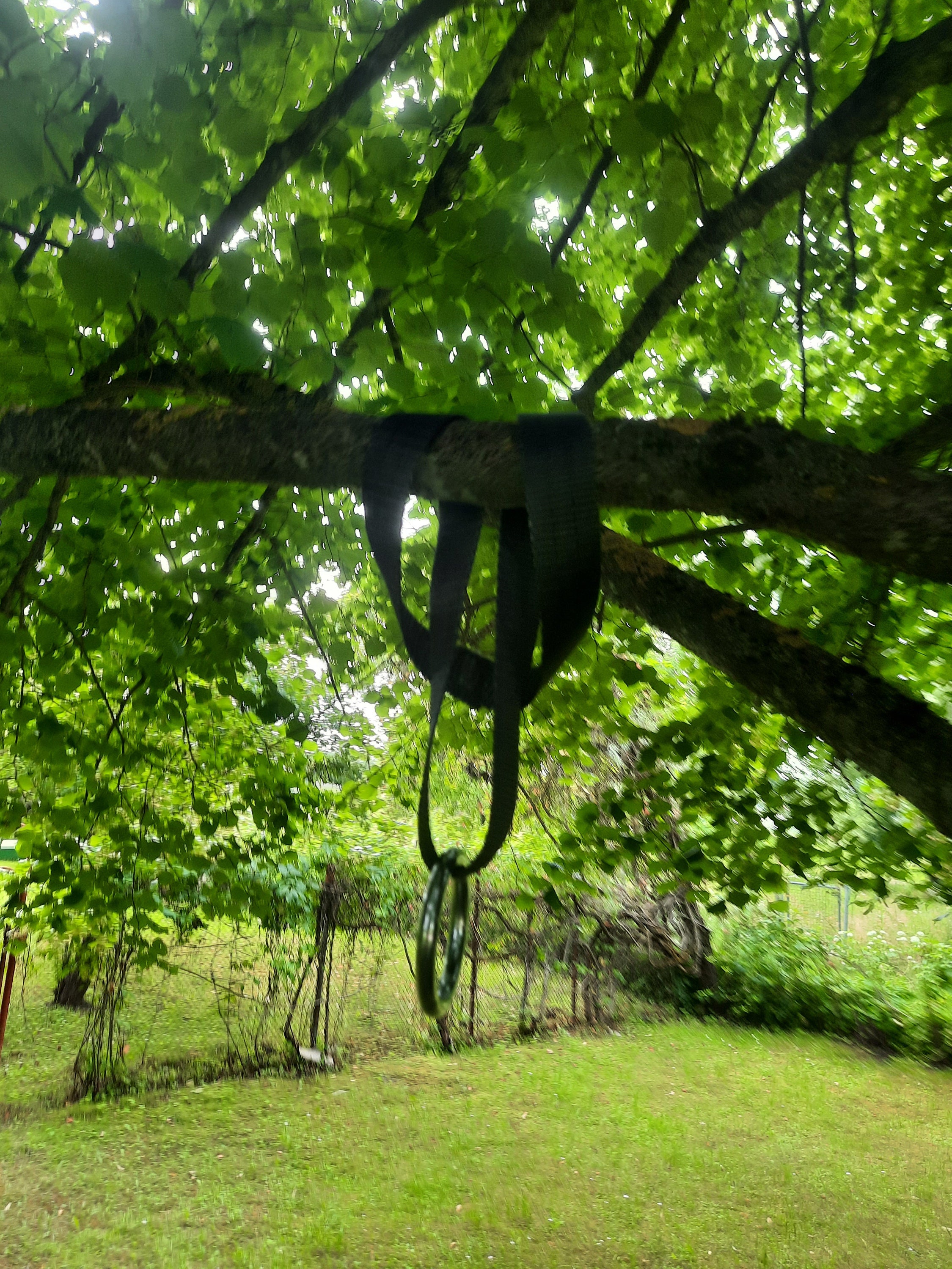 Tree Swing Attachment Mount Strap for Hanging Stuff - Etsy