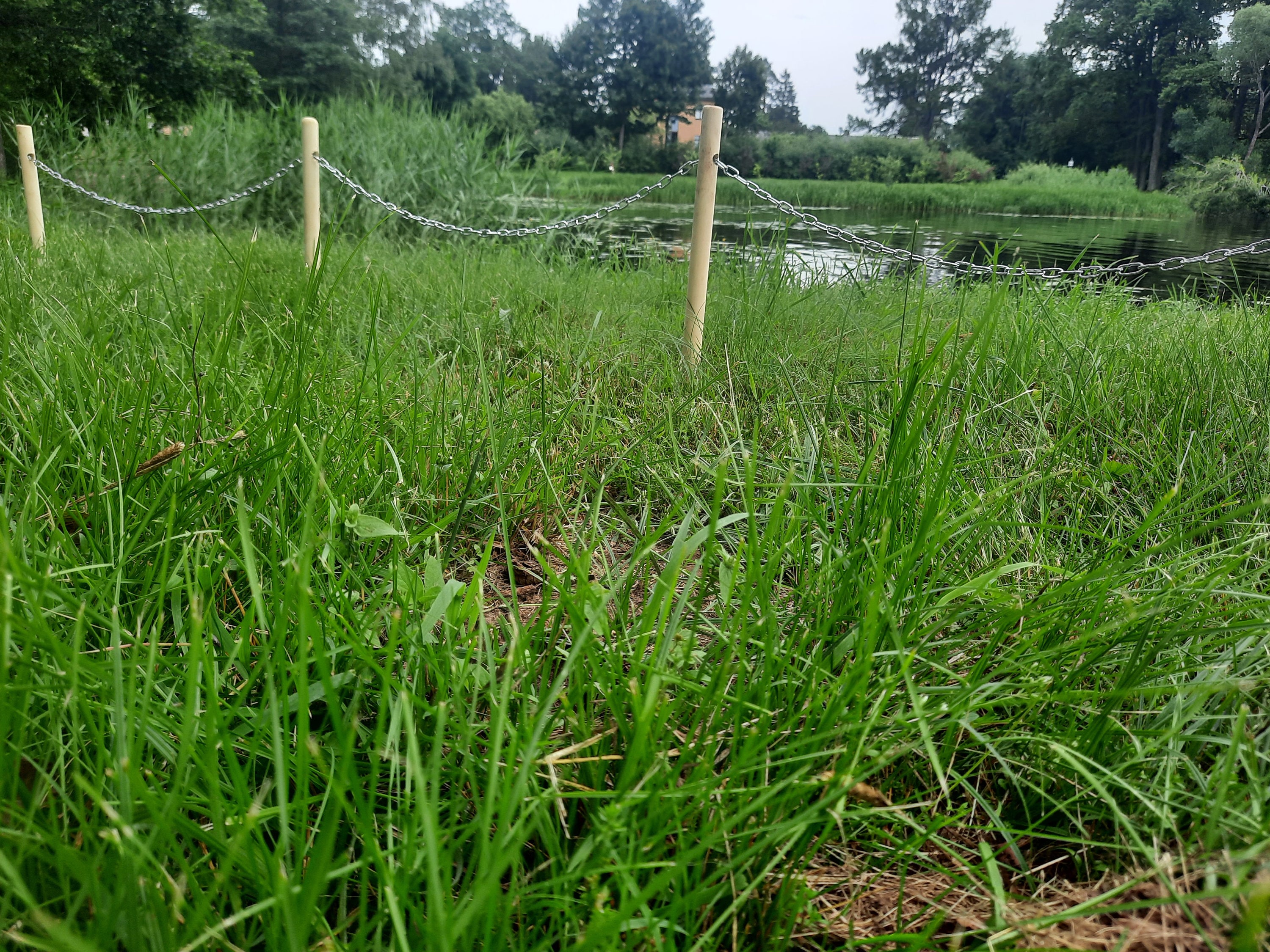 Chain Fence for Gardens,parks and Backyards, Practical and Decorative 6 ...