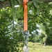 Tree Swing Attachment Mount Strap for Hanging Stuff - Etsy