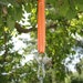 Tree Swing Attachment Mount Strap for Hanging Stuff - Etsy